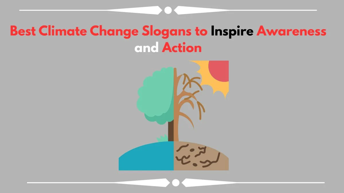 Best Climate Change Slogans to Inspire Awareness and Action